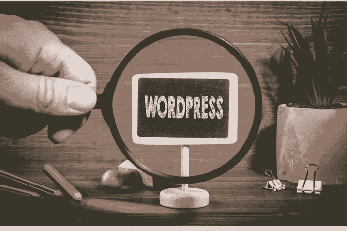 The Best WordPress Themes | Unlock the Power of WordPress
